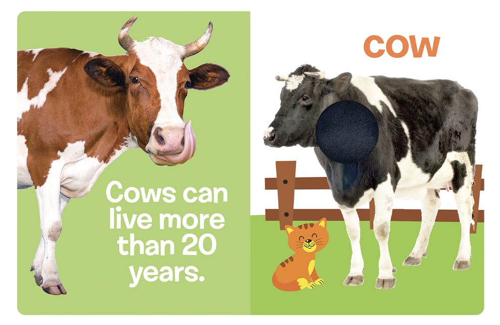 Farm Animals: A Touch and Feel Book – American Farm Company
