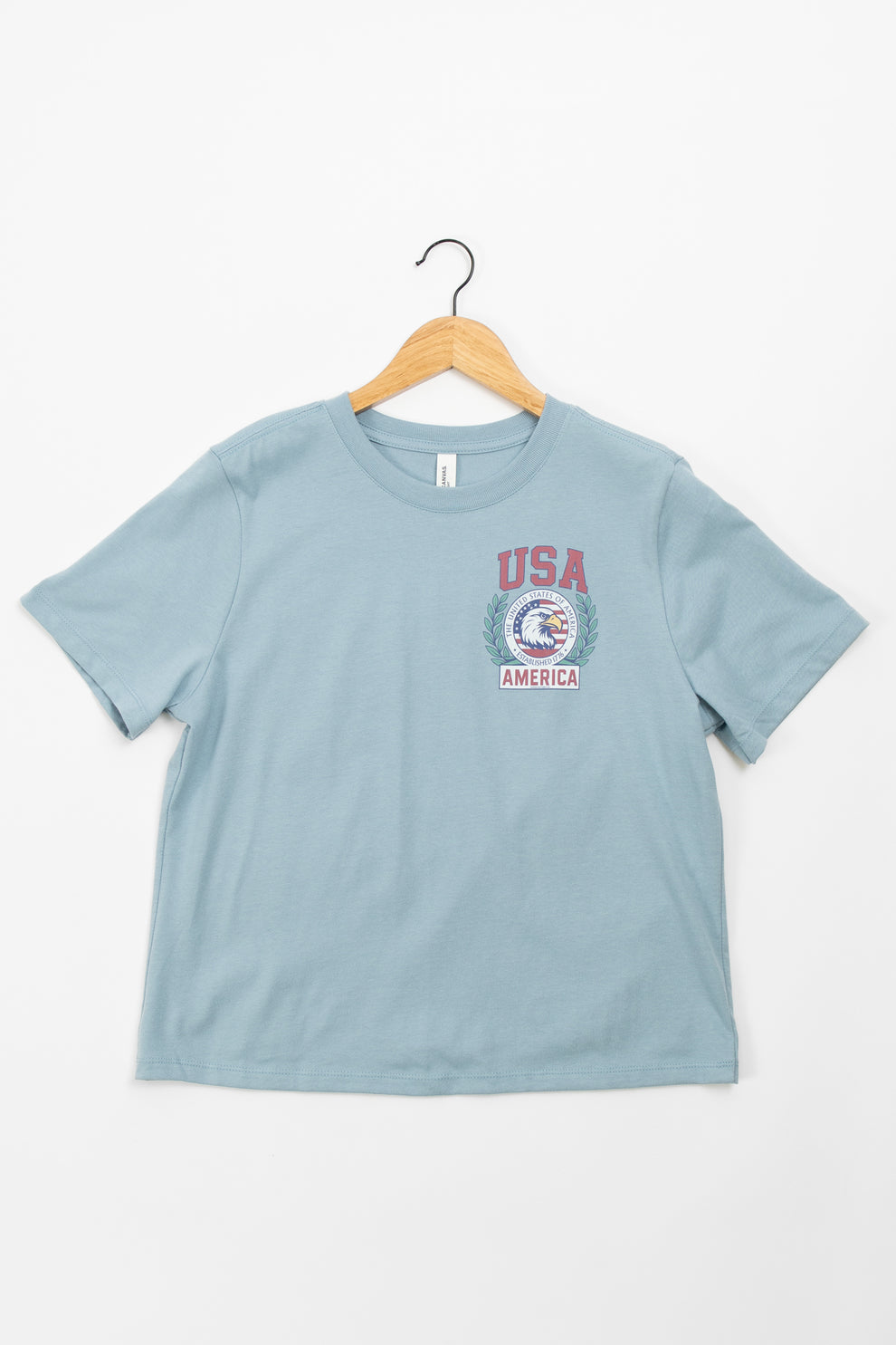 Patriotic 'USA' Red Seal Boxy Tee – American Farm Company