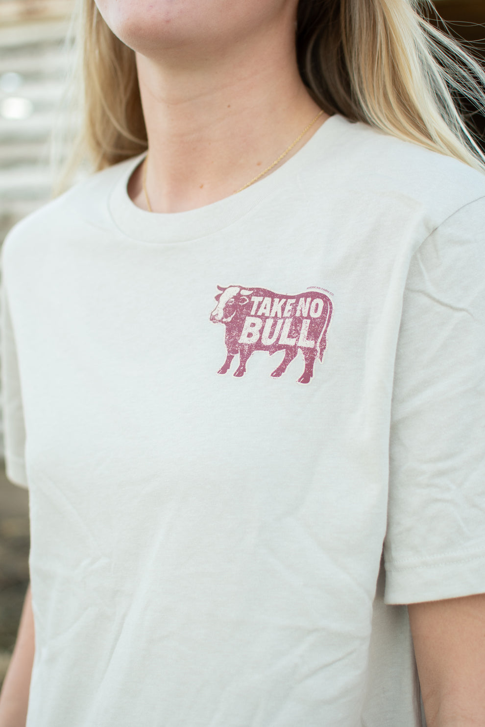 Take No Bull' Tee – American Farm Company